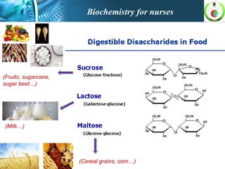 Saccharides (carbohydrates) | PPT