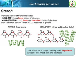 Saccharides (carbohydrates) | PPT