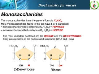 Saccharide An Overview ScienceDirect Topics, 54% OFF