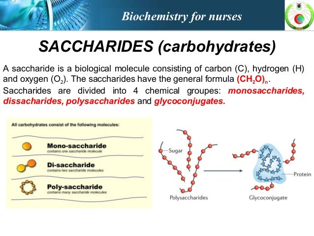 Saccharides (carbohydrates)