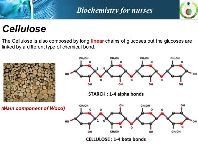 Saccharides (carbohydrates)