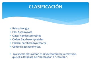 Saccharomyces | PPTX