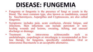 Saccharomyces cerevisiae | PDF