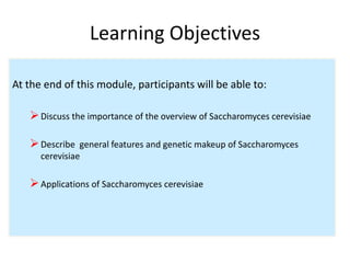 Saccharomyces cerevisiae | PPTX