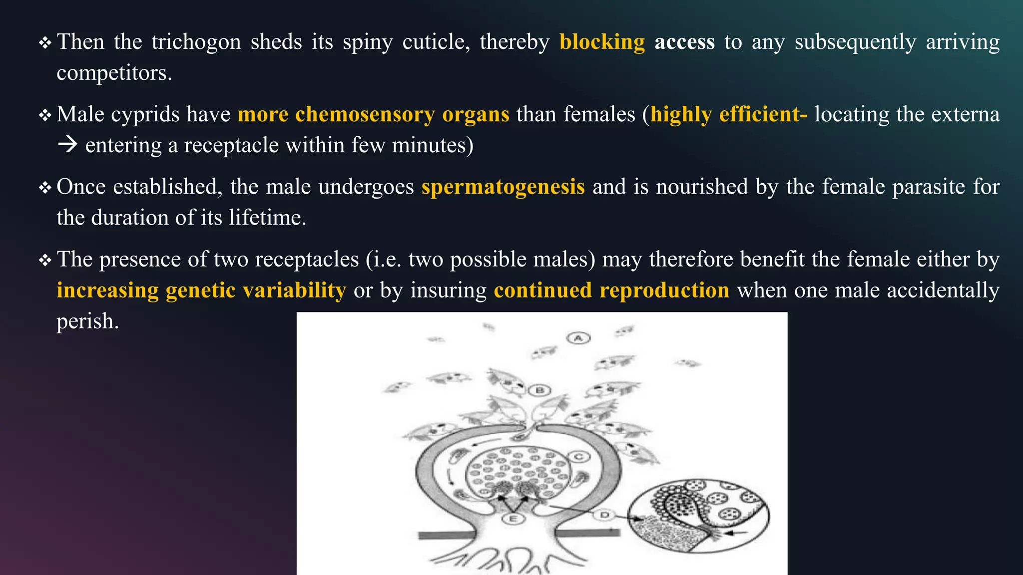 Sacculina carcini -green crab- Host- Parasite Relationship | PPTX