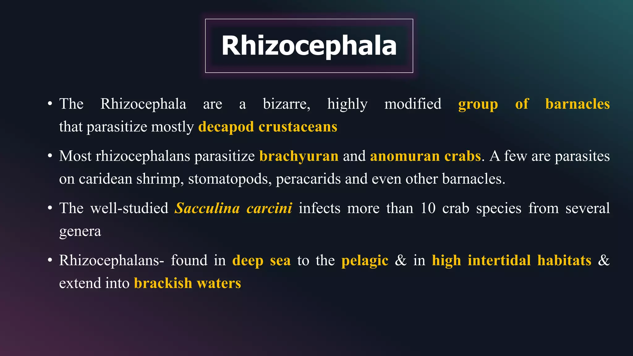Sacculina carcini -green crab- Host- Parasite Relationship | PPTX ...