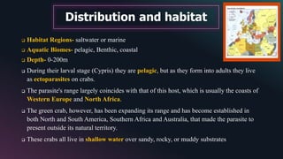 Sacculina carcini -green crab- Host- Parasite Relationship | PPTX