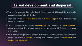 Sacculina carcini -green crab- Host- Parasite Relationship | PPTX