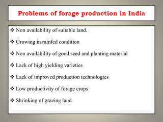 recent trends in forage production | PPTX