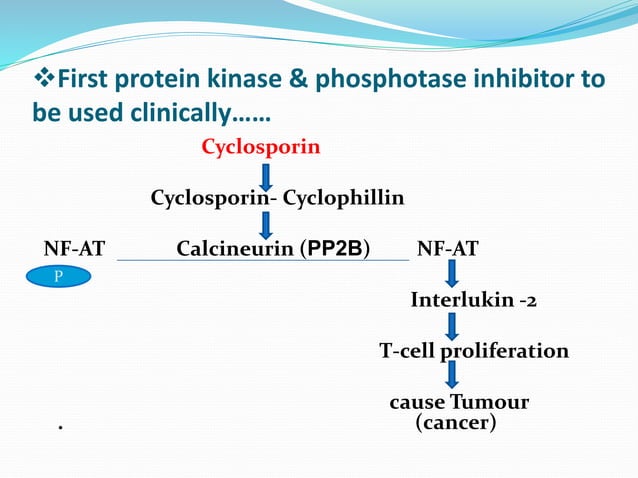 protein phosphorylation | PPTX | Endocrine and Metabolic Diseases | Diseases and Conditions
