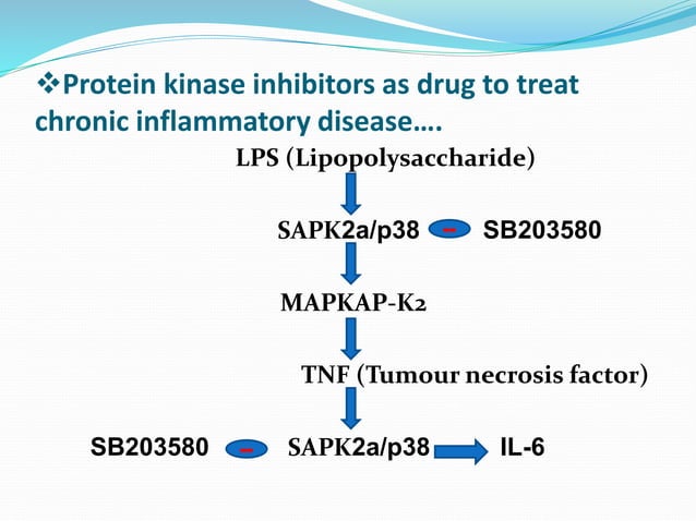 protein phosphorylation | PPTX | Endocrine and Metabolic Diseases | Diseases and Conditions