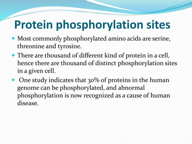 protein phosphorylation | PPTX | Endocrine and Metabolic Diseases | Diseases and Conditions