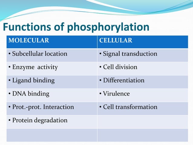 protein phosphorylation | PPTX | Endocrine and Metabolic Diseases | Diseases and Conditions