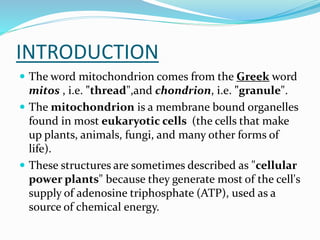 mitochondria .......... | PPTX