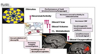 Neuroimaging (MRI, PET, SPECT ,fMRI).pptx