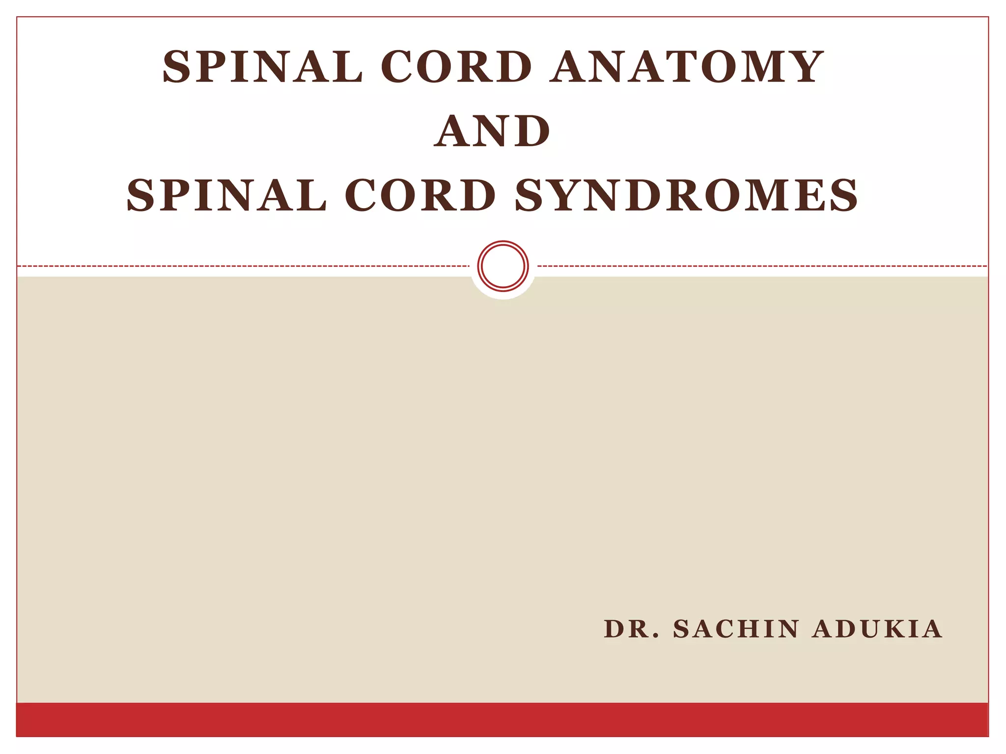 spinal cord anatomy and spinal cord syndromes | PPTX