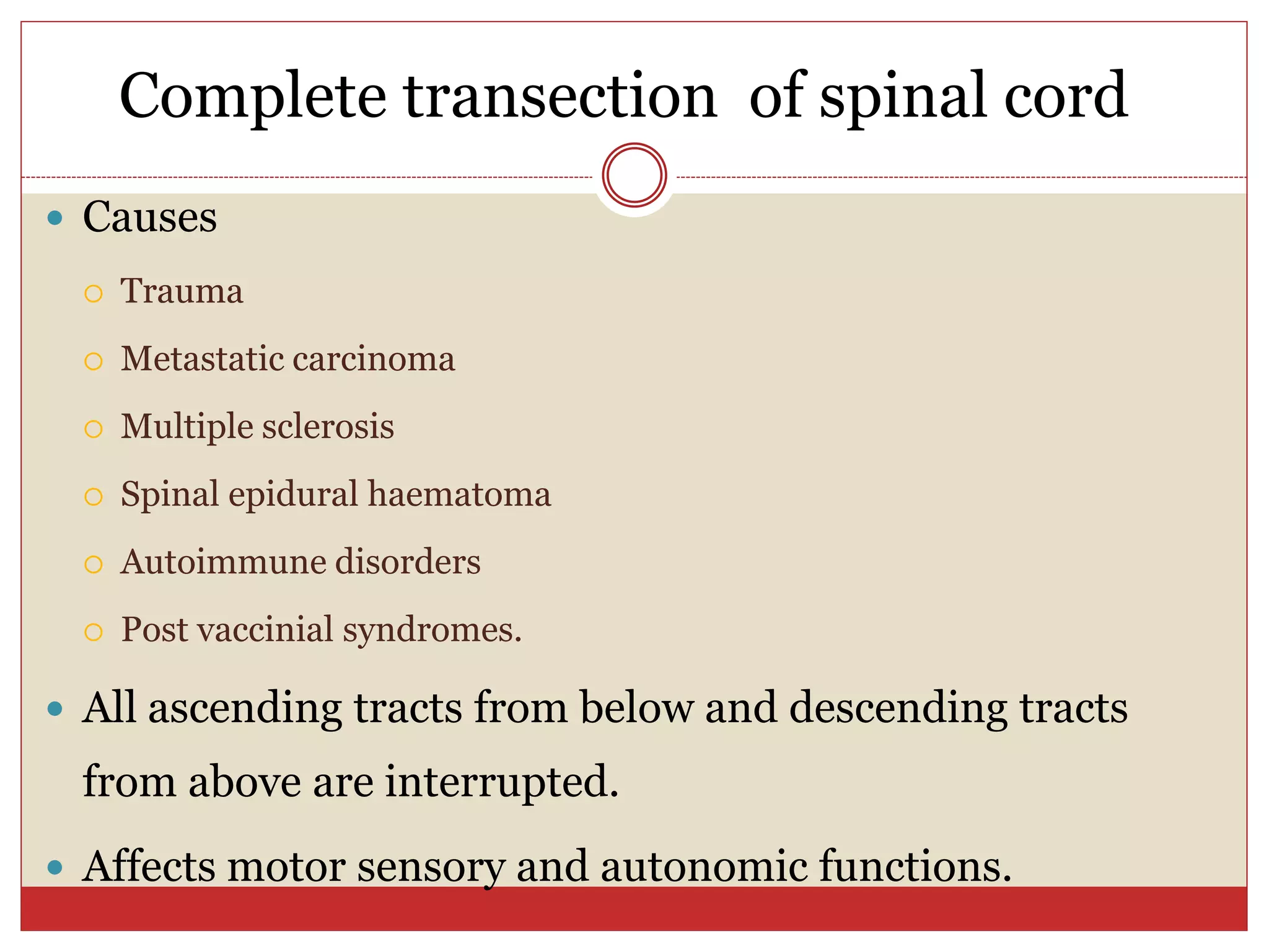 spinal cord anatomy and spinal cord syndromes | PPTX