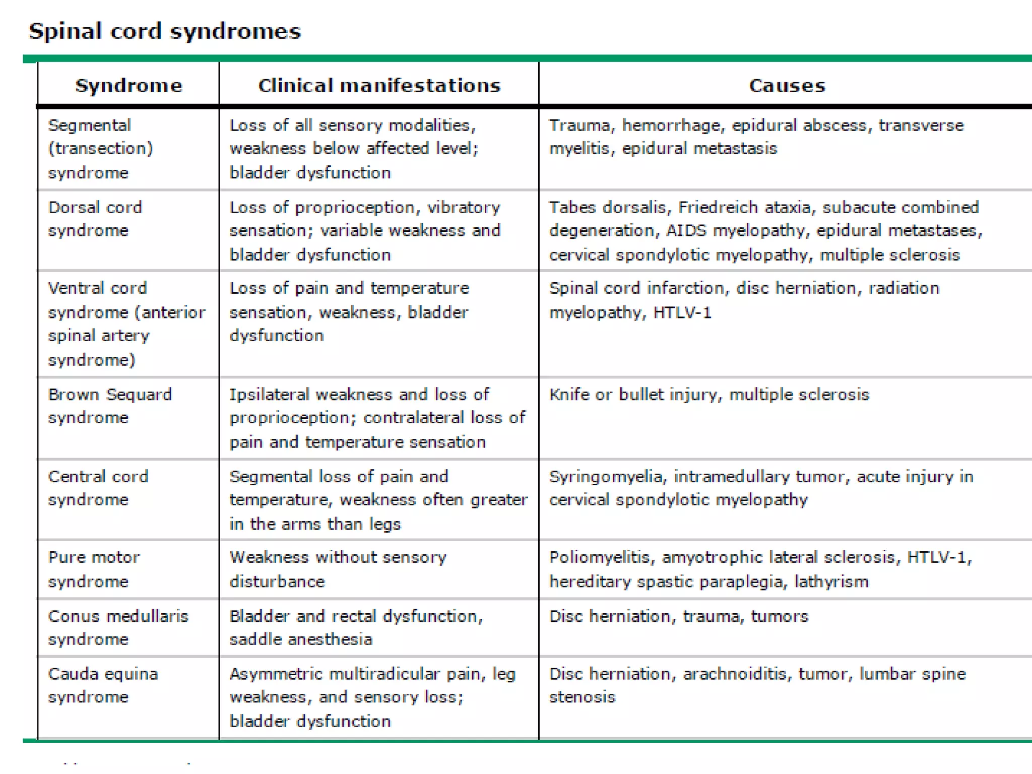 spinal cord anatomy and spinal cord syndromes | PPTX