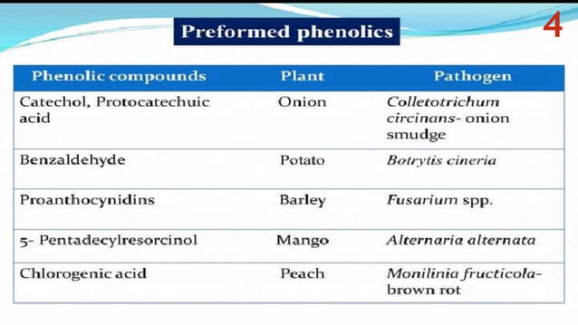 Role of phenolic compunds in plant disease resistance.pptx