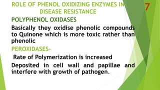 role of phenolic compouds in plant disease resistance Sachinppt .pptx
