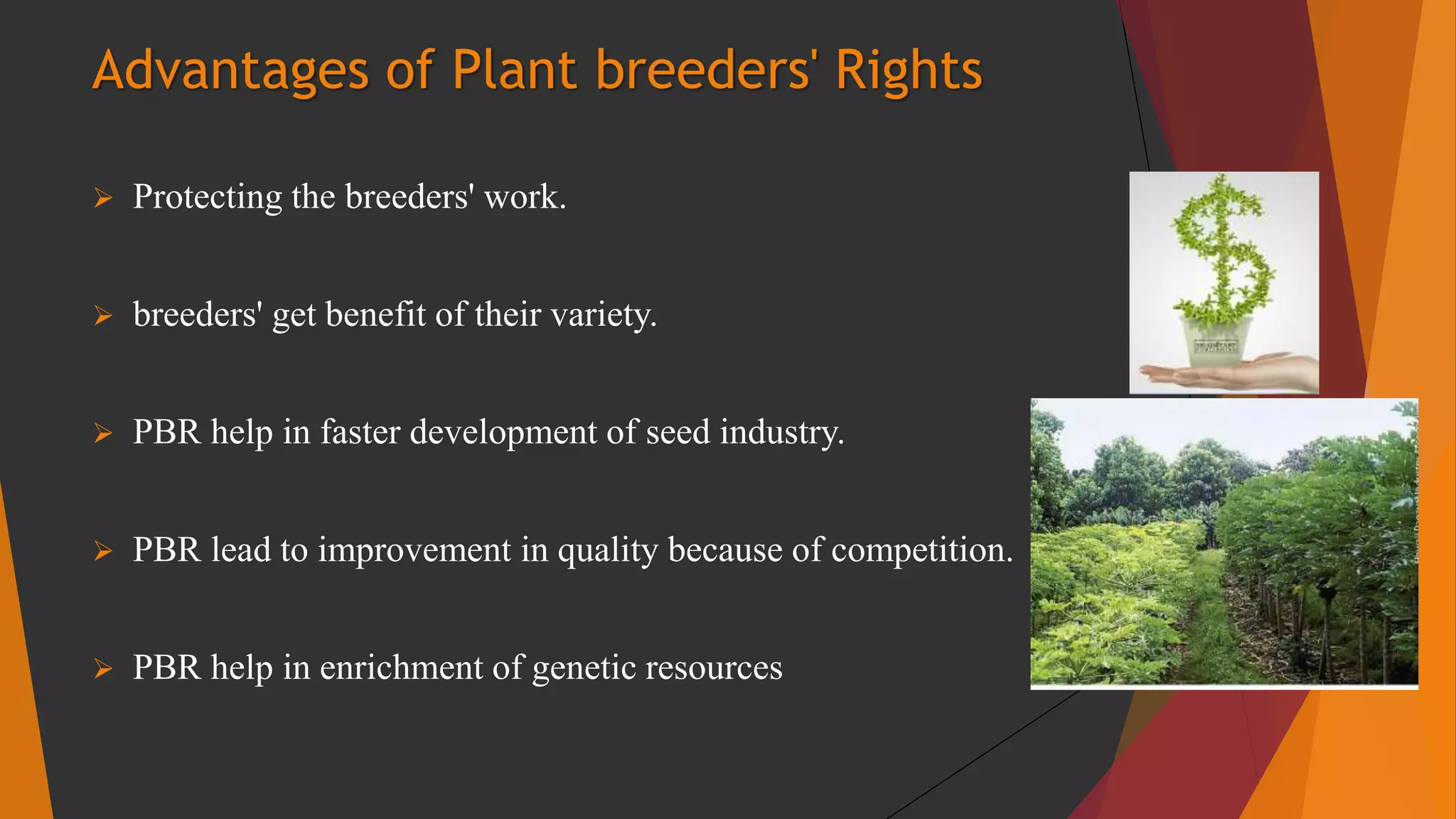Plant Breeders' Rights | PPTX