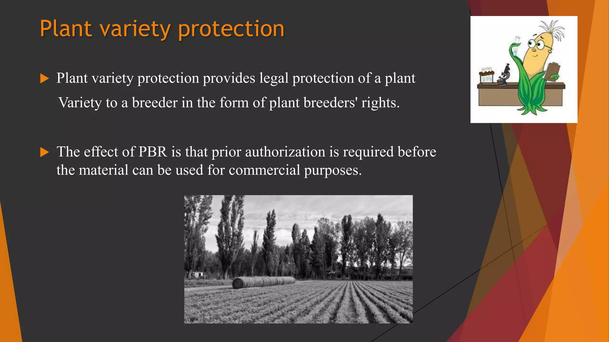 Plant Breeders' Rights | PPTX