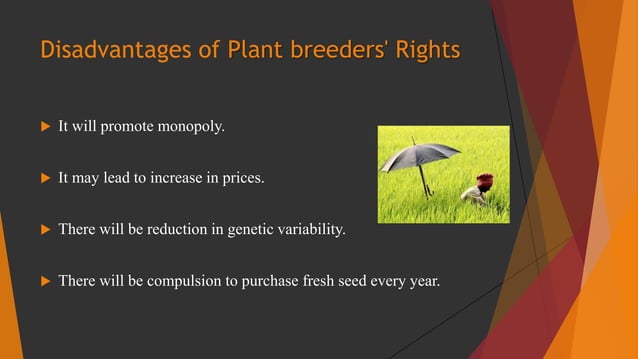 Plant Breeders' Rights | PPTX | Agriculture | Industries