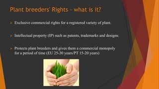 Plant Breeders' Rights | PPTX