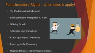 Plant Breeders' Rights | PPTX