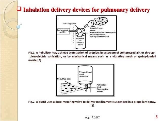 Dry Powder Inhaler | PPT