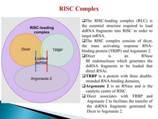 RNA MEDIATED GENE SILENCING IN PLANT | PPTX