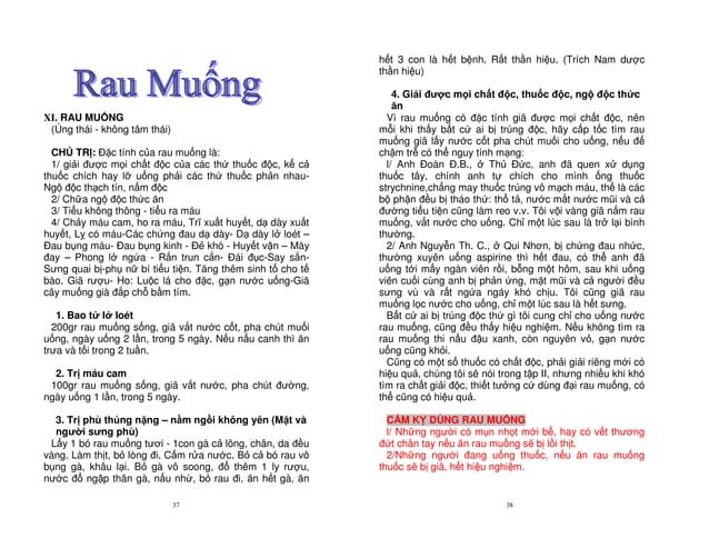 Sach thuoc gia truyen cua linh muc James Vu | PDF