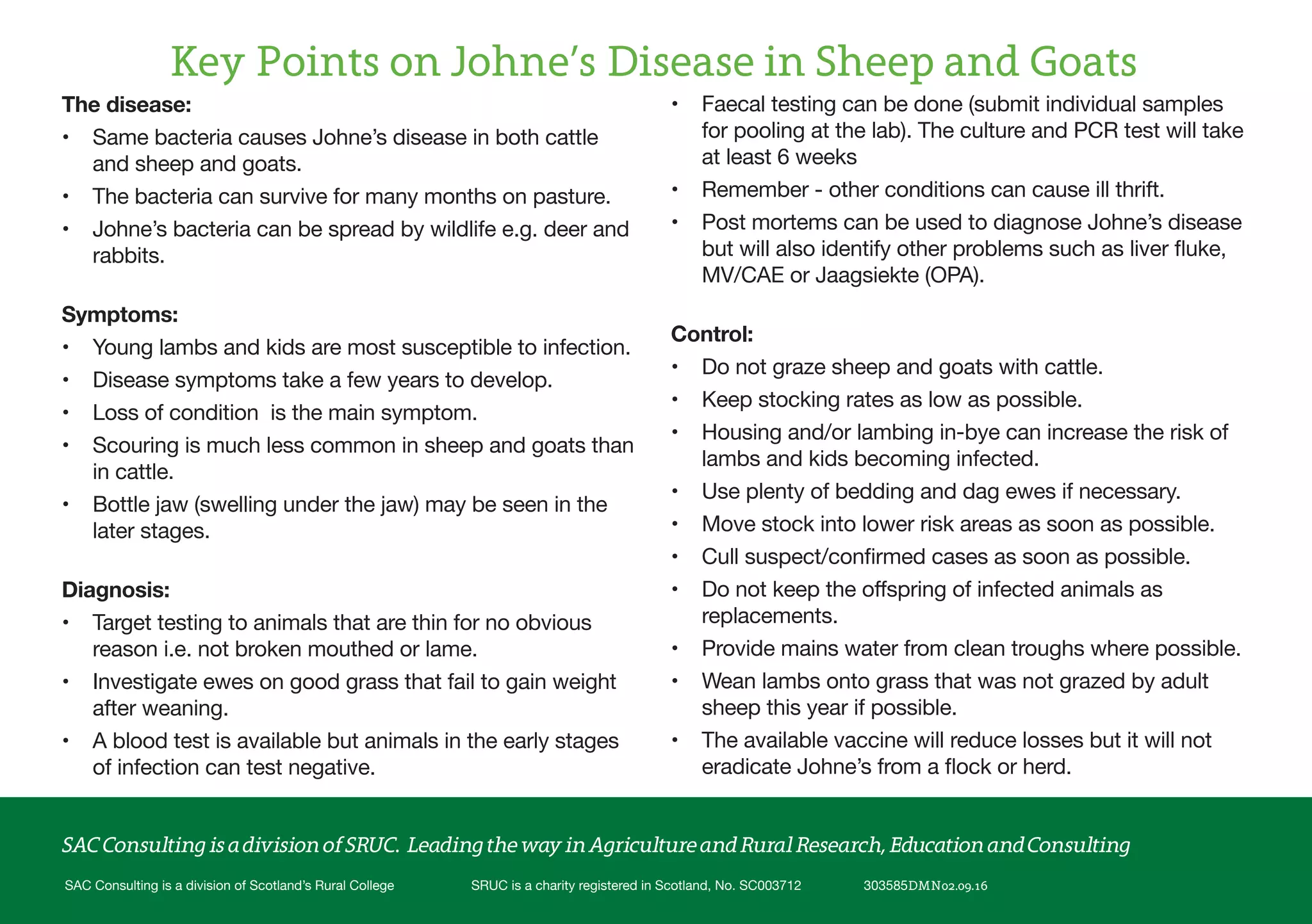 Scottish Agricultural College brochure about Johne's Disease | PDF