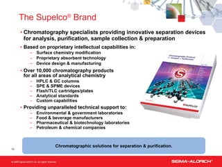 Sa Corp Presentation(6.17.09) | PPT