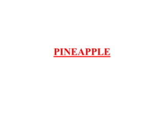 NUTRIENT DEFICIENCY AND ITS MANAGEMENT IN PINEAPPLE | PDF