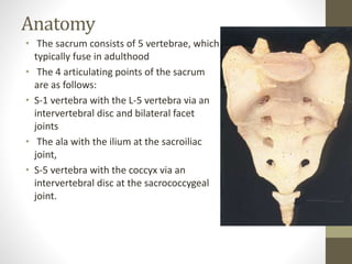 Sacral fracture | PPTX