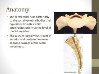 Sacral fracture | PPTX