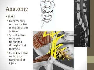 Sacral fracture | PPTX
