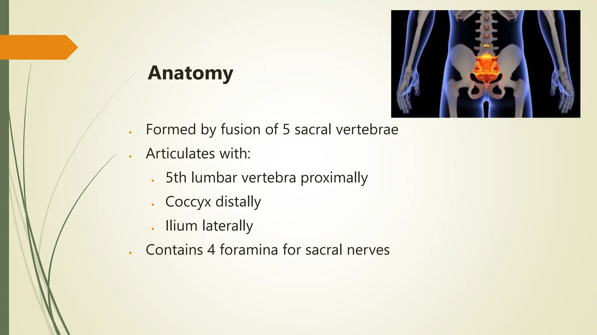 SACRAL FRACTURE or SACRAL TRAUMA POWERPOINT | PPTX