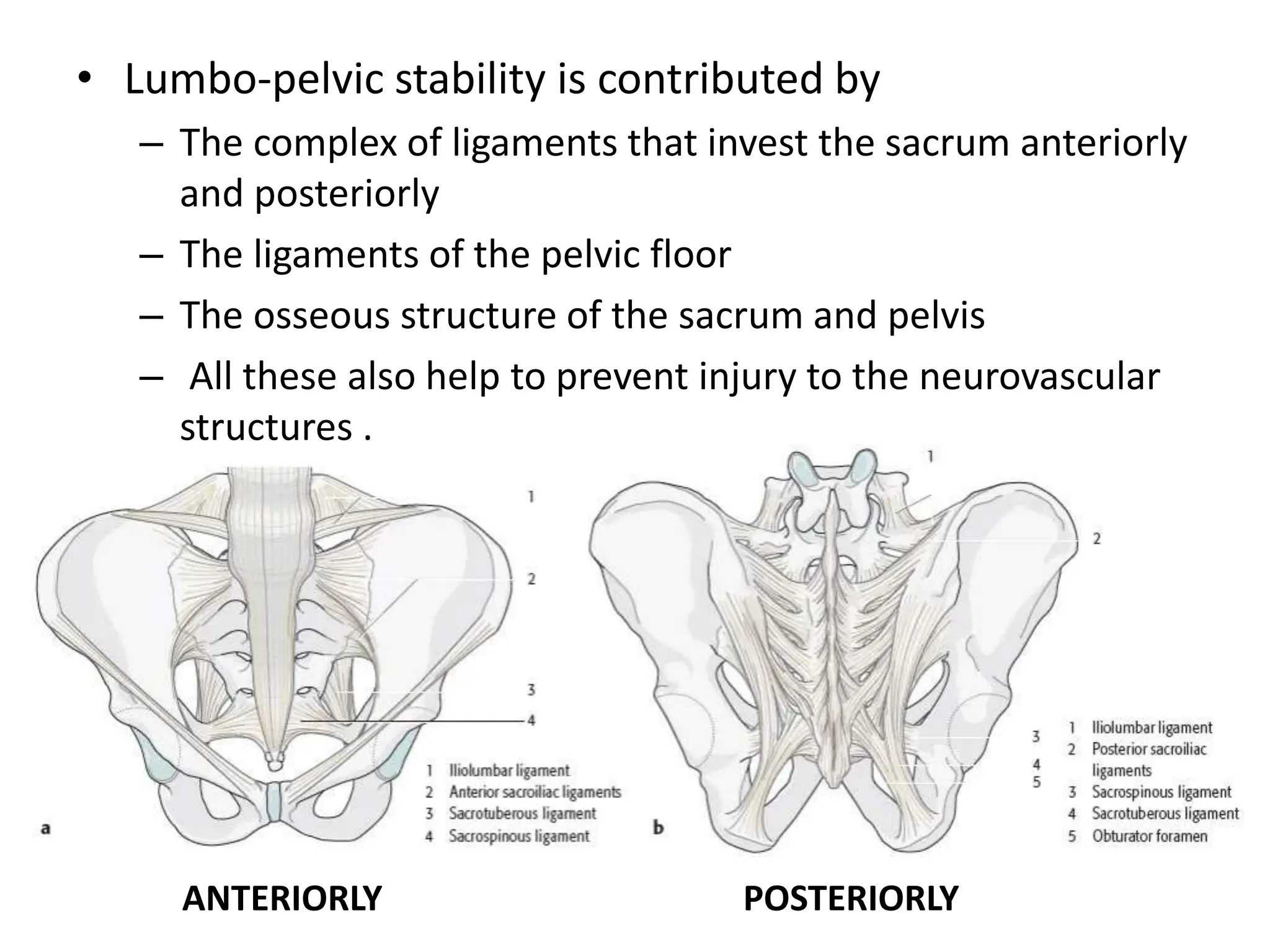 SACRAL FRACTURES.pptx