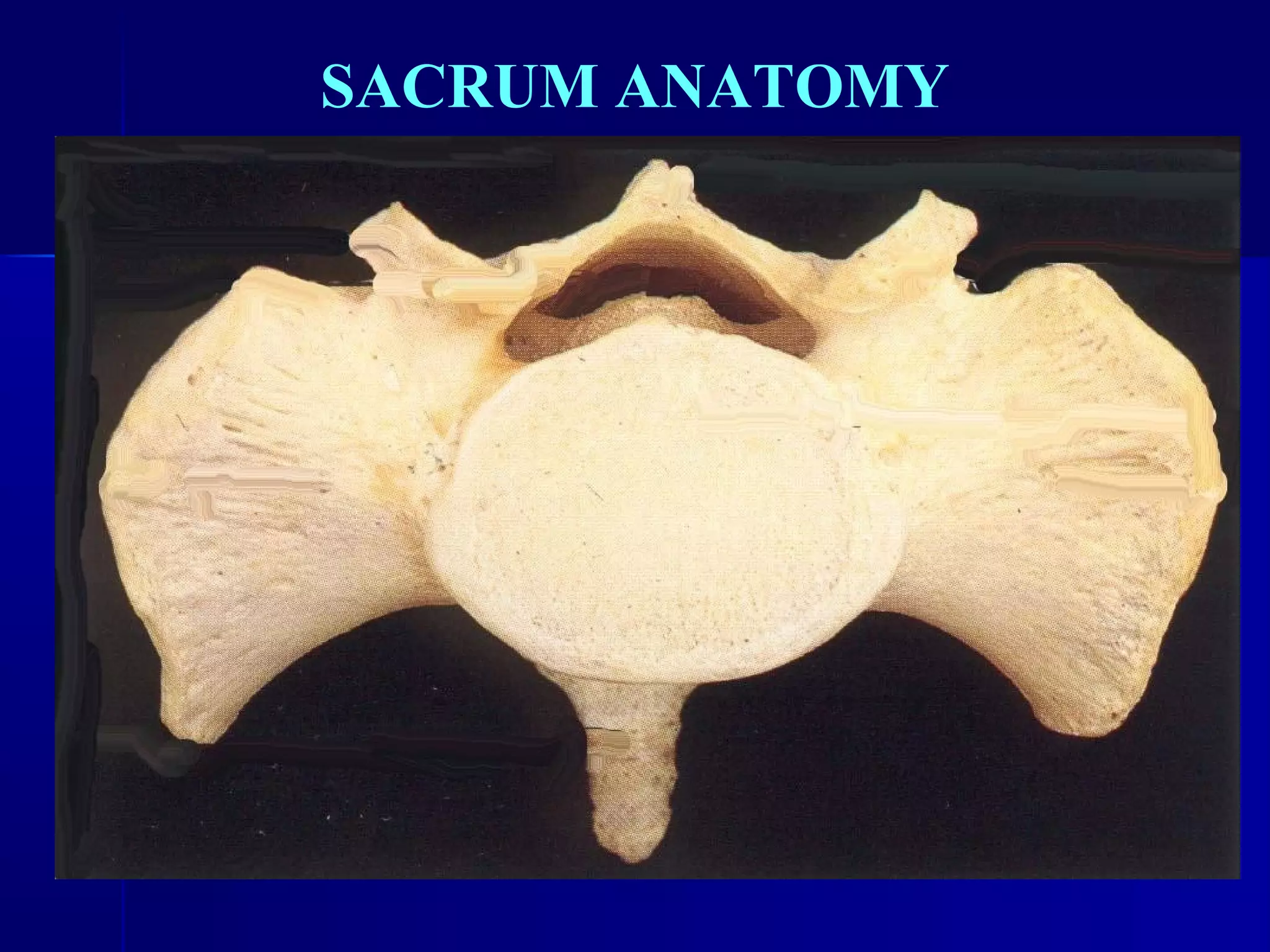 Sacral injuries | PPT