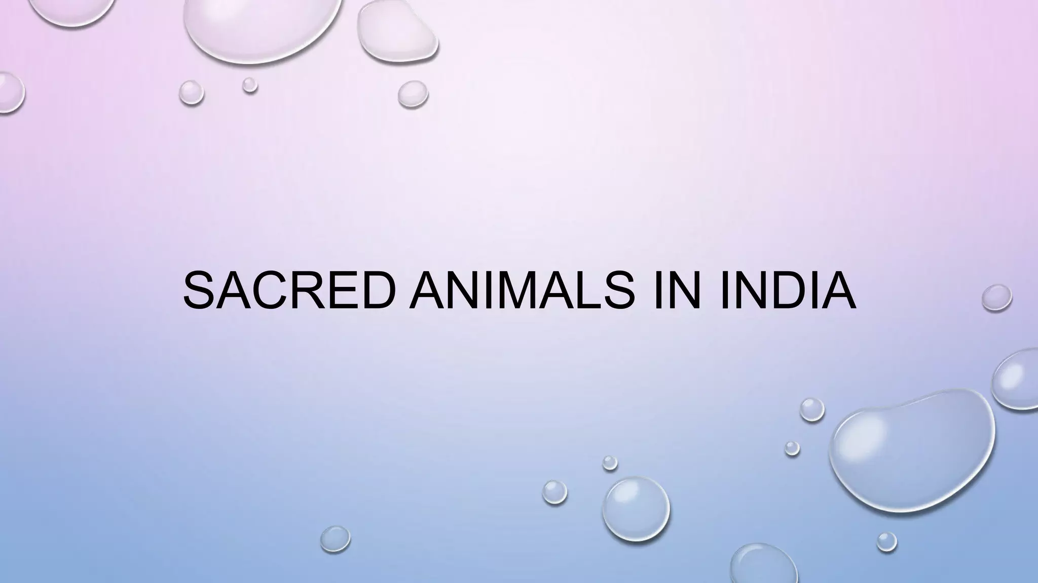 Sacred animals | PPT | Free Download