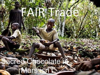 Sacred Chocolate VS Mars | PPT