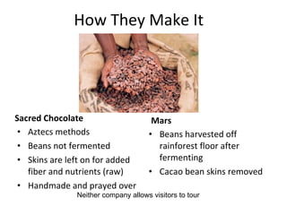 Sacred Chocolate VS Mars | PPT
