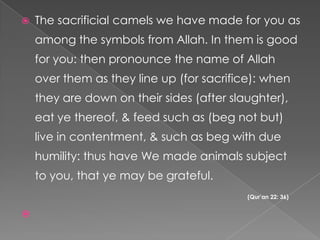 Sacrifice camel | PPSX