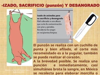SACRIFICIO DE CERDOS: CONDICIÓN ANTE MORTEM, CONDICIONES POST MORTEM..pptx
