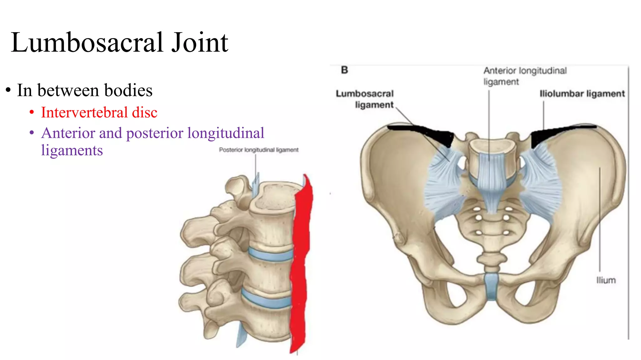 sacroiliac .pptx