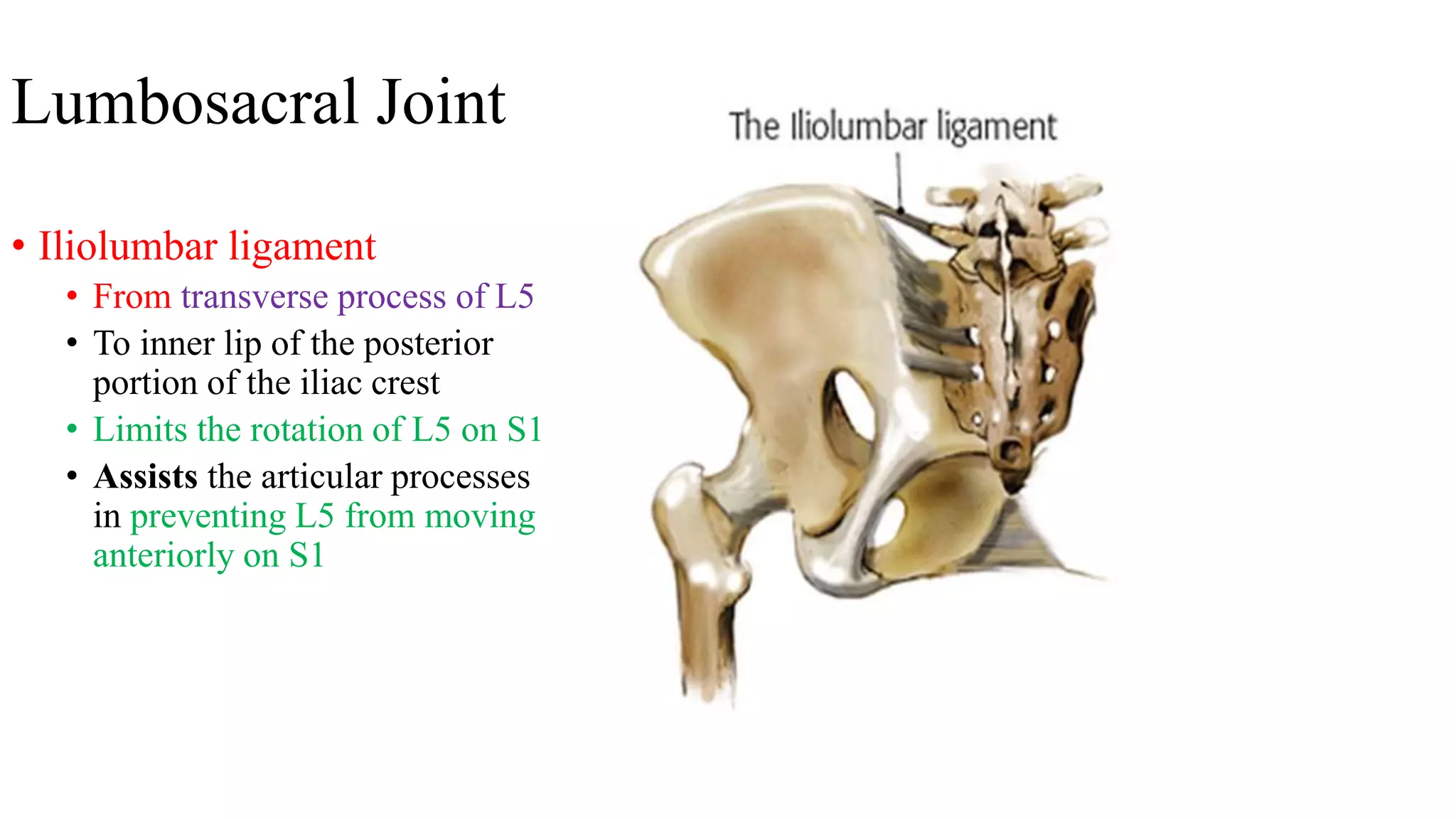 sacroiliac .pptx
