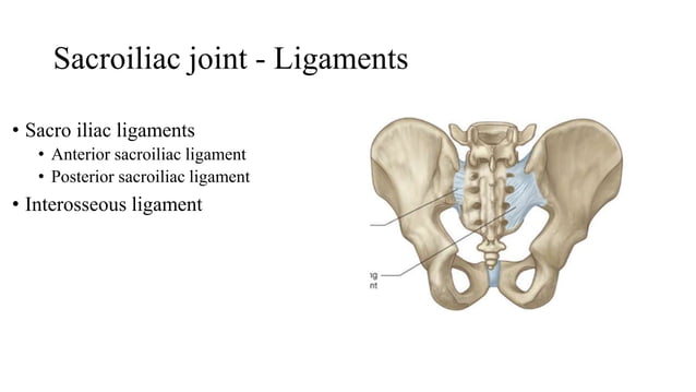 sacroiliac .pptx
