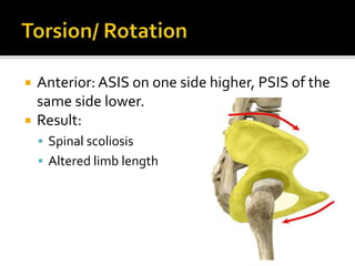 SACROILIAC JOINT- assessment.pptx